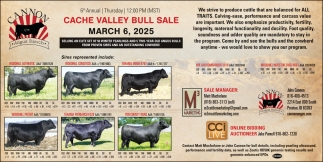 Cache Valley Bull Sale, Cannon Angus Ranch, Preston, ID